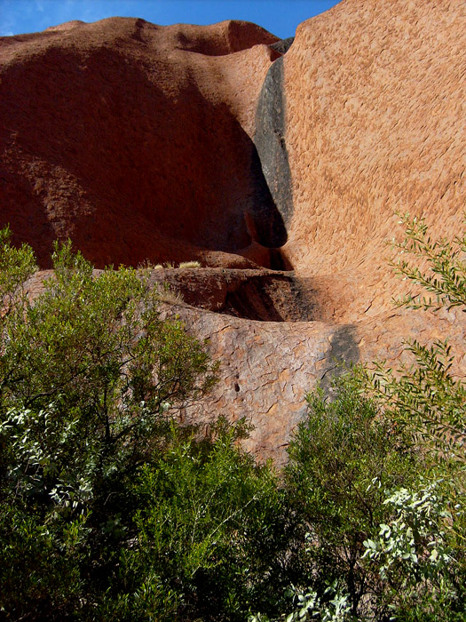 Kuranda, Uluru, Kata Tjuta, and Tingle Trees – Adventures in Wonderland