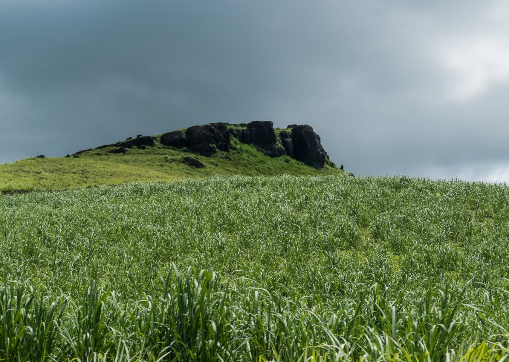 A Very Small Place in a Very Big World: Fiji’s Navala Village ...