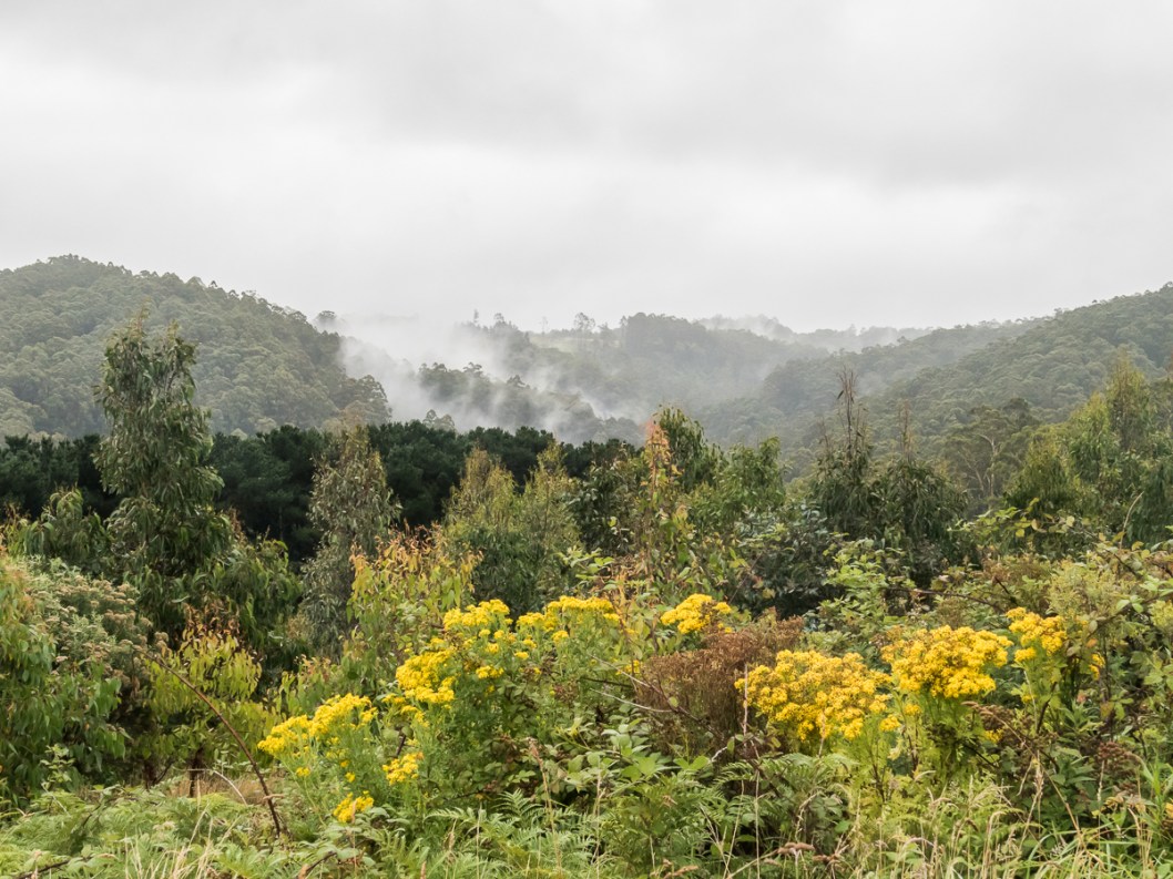 The Shipwreck Coast – Travelling the Great Ocean Road – Adventures in ...