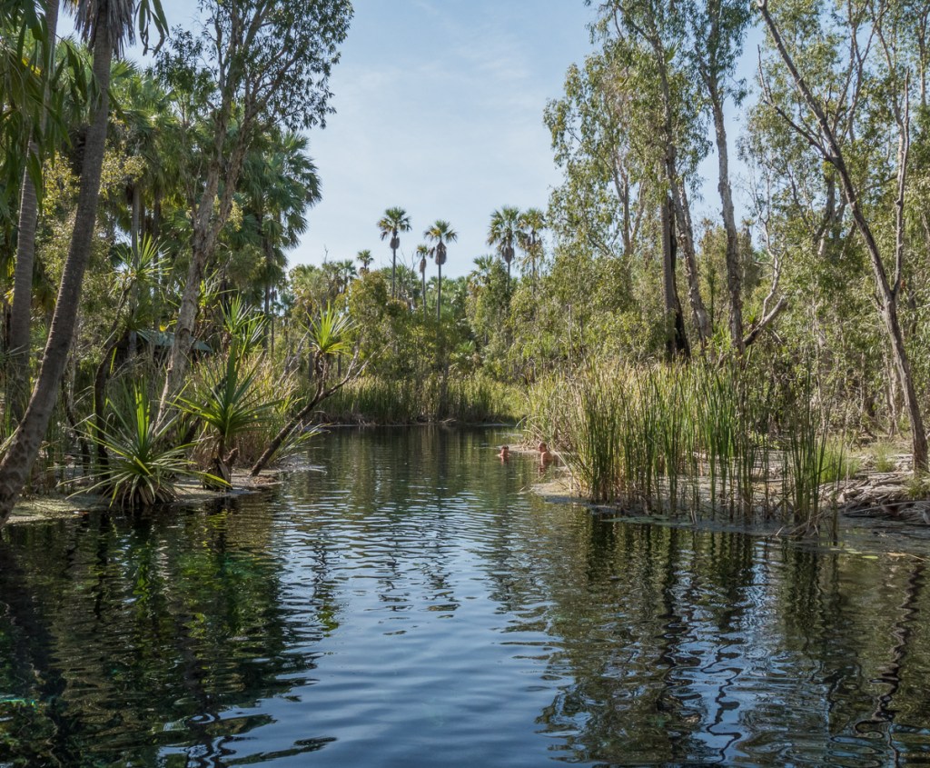 Water World – With Bats, Pythons and Crocodiles: Top End meandering ...