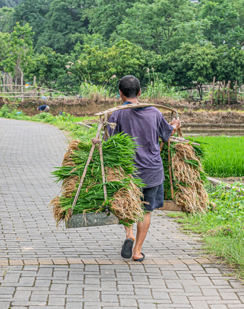 The Glorious Landscape of Yangshuo, China – a photo essay – Adventures ...