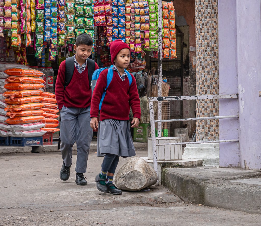 The Life of the Town: the people and wildlife of Rishikesh, India ...