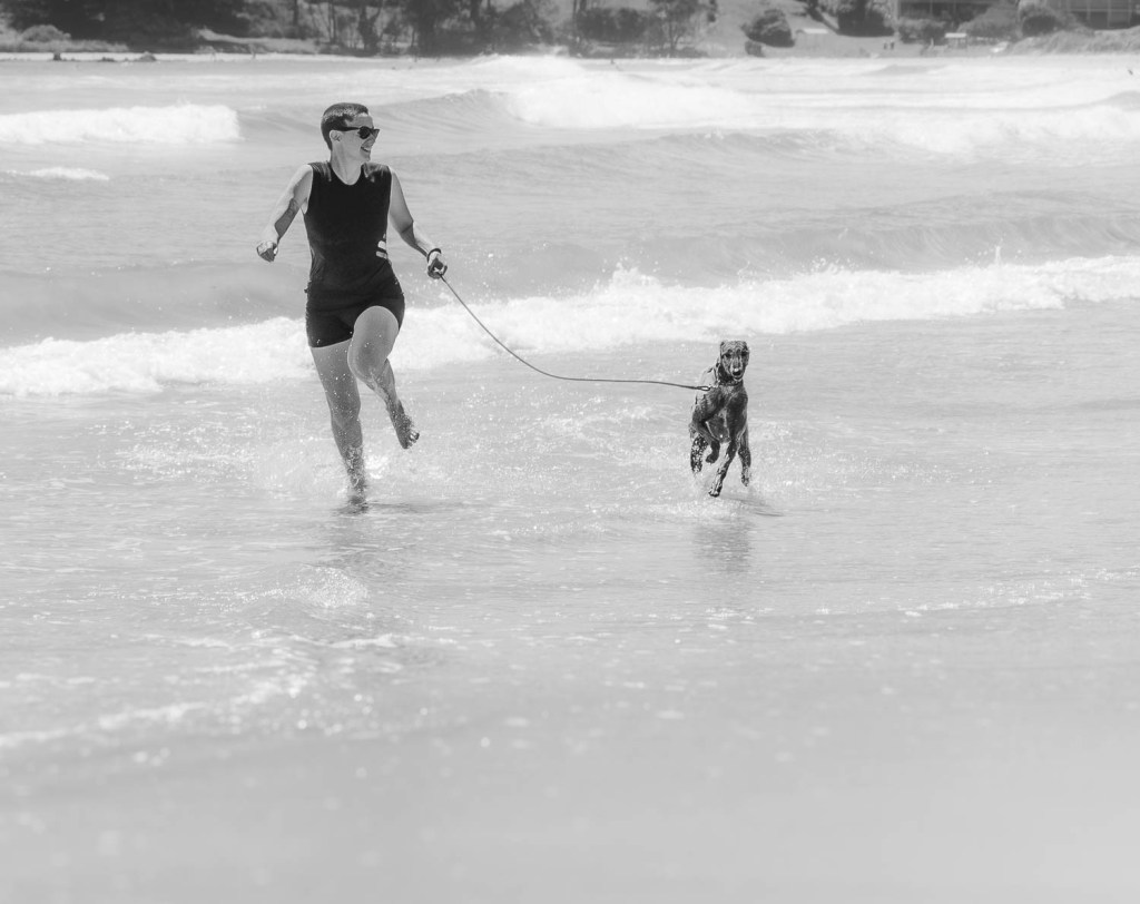 The Gods Of Frolic – dogs at the beach, a photo essay. – Adventures in ...